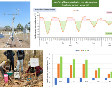 หน้าแรก - CMU NET ZERO #ลดคาร์บอน มช. #CMU Netzero #CarbonNeutral #มช_มุ่งสู่ความเป็นกลางทาง ...