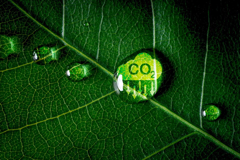 หลักสูตรฝึกอบรม3 - CMU NET ZERO #ลดคาร์บอน มช. #CMU Netzero # ...